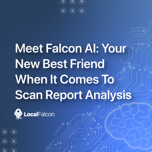 Meet Local Falcon AI: Your New Best Friend When It Comes To Improving ...